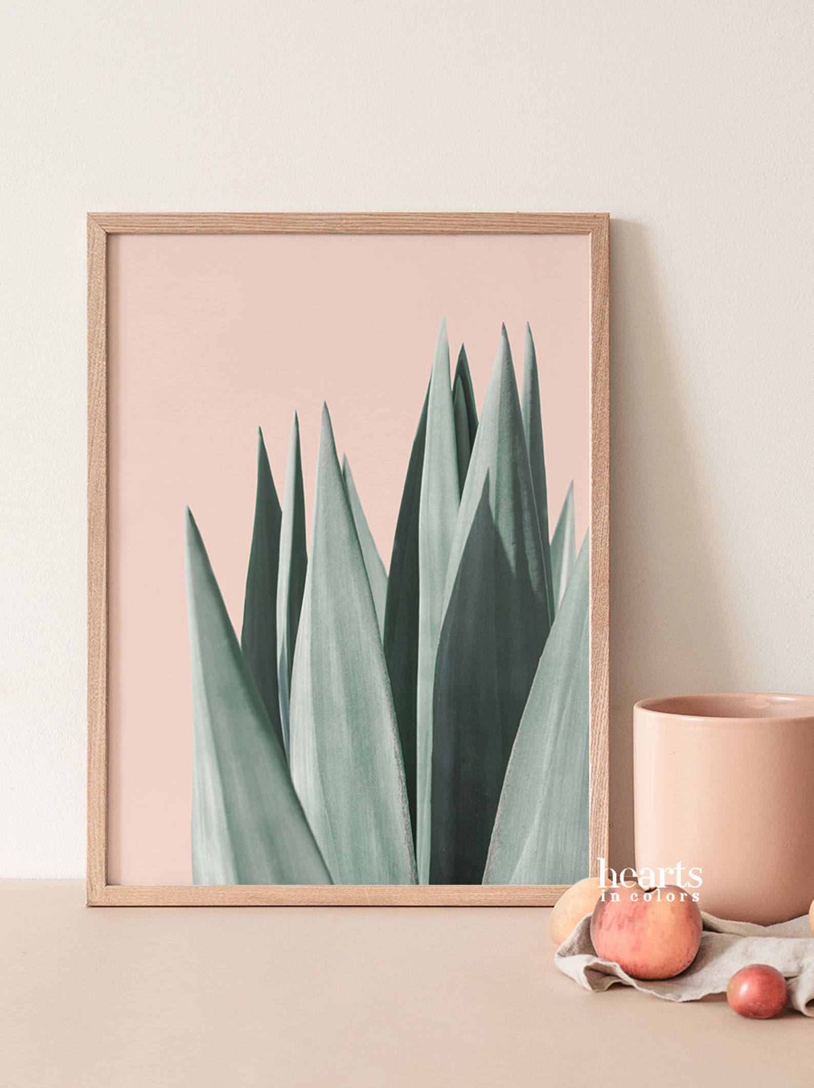 Succulent Printprintsdiysucculent Art Printsucculent | Etsy