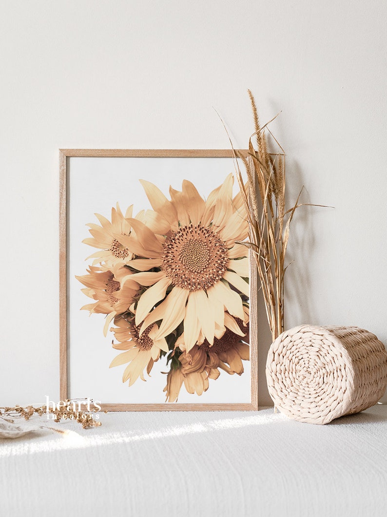SunflowerSunflower PrintFlower PosterSunflower | Etsy