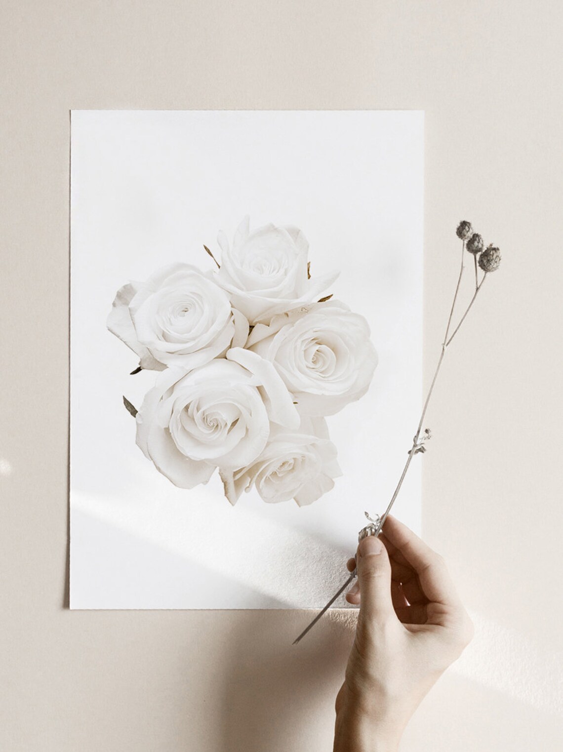White Roses Printdigital Printflowers Printfloral - Etsy