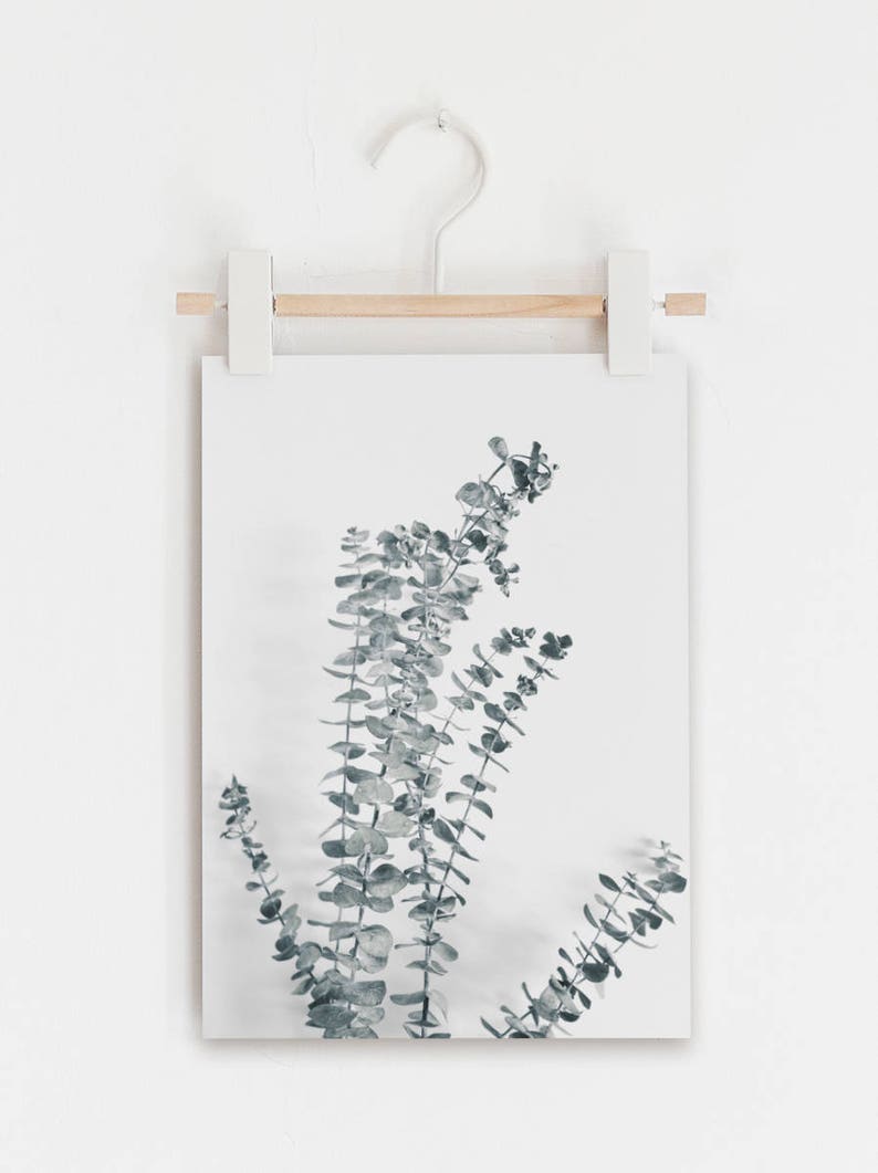 Eucalyptus PrintArt PrintLarge Wall ArtBotanical | Etsy