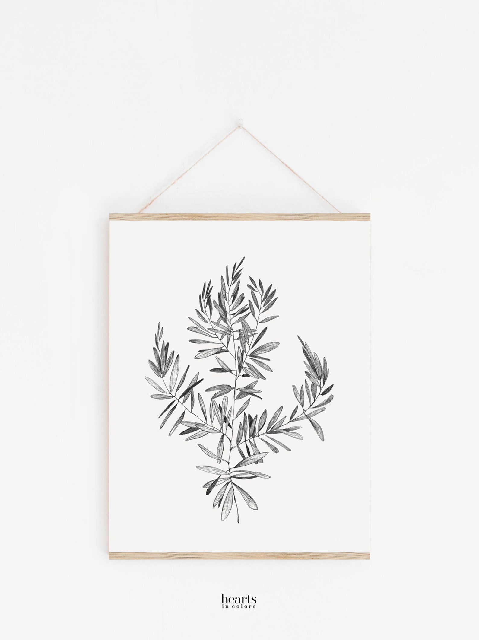 Olive Print Digital Prints Botanical Print Botanical Wall - Etsy