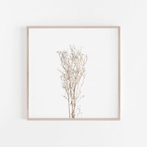 Farmhouse, Set of 9 Prints, Digital Prints, Square Prints, Botanical ...