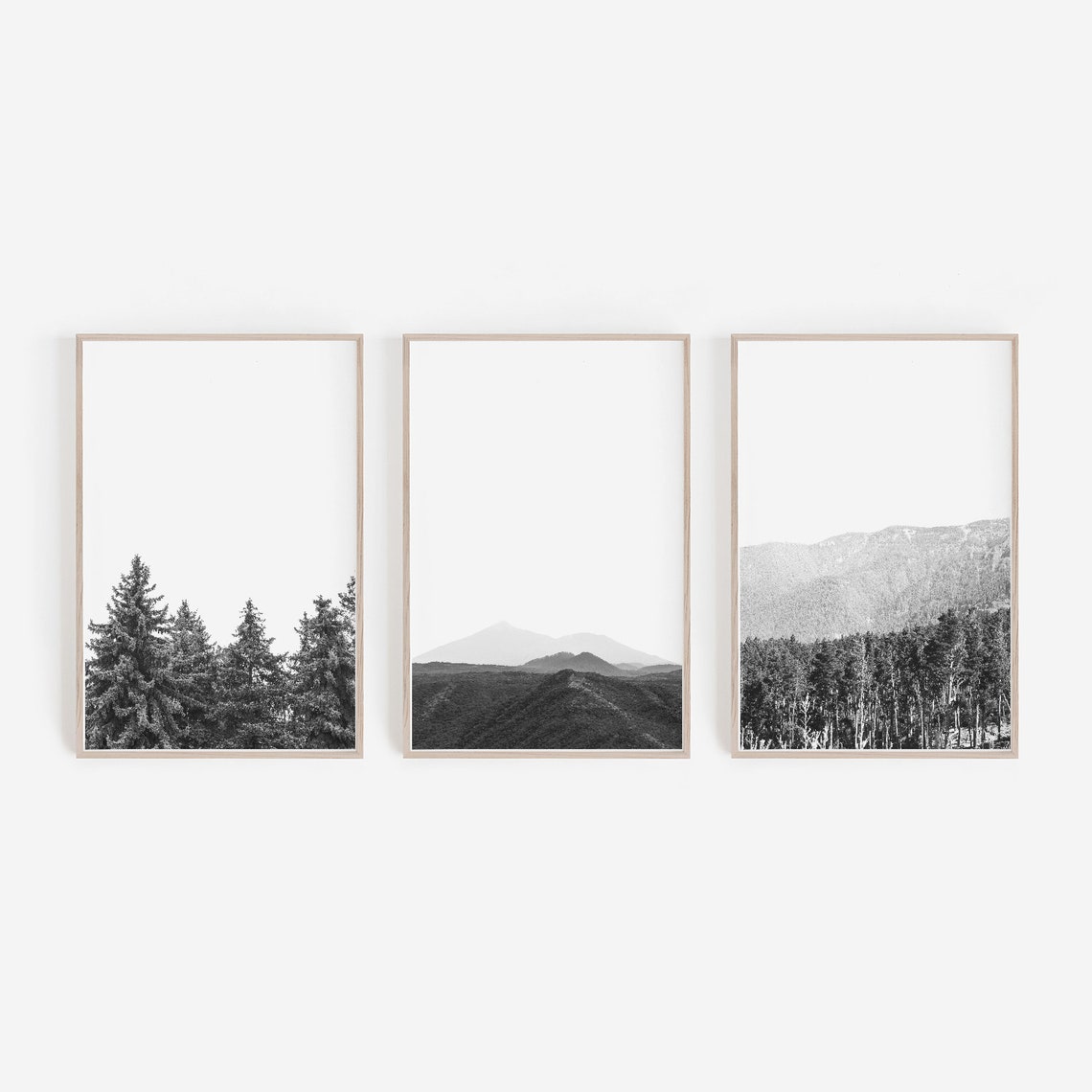 Nature Prints Wall Prints Nature Wall Art Forest Print | Etsy