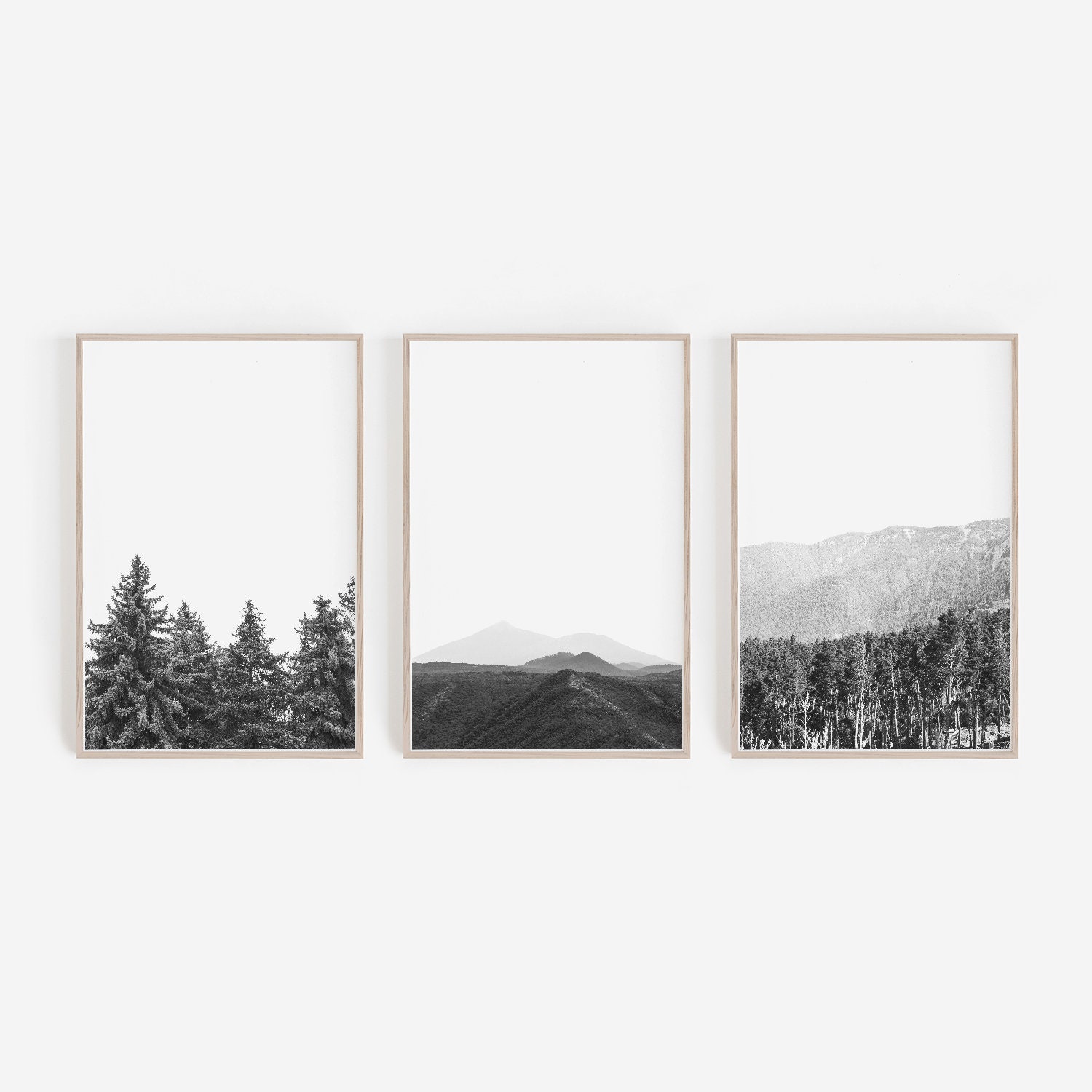 Nature Prints Wall Prints Nature Wall Art Forest Print | Etsy