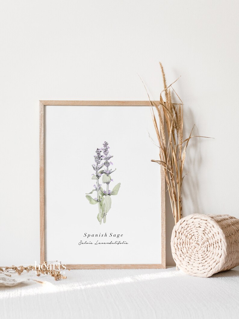 Set of 2 Prints DIGITAL Prints Olive Print Olive Wall Art - Etsy