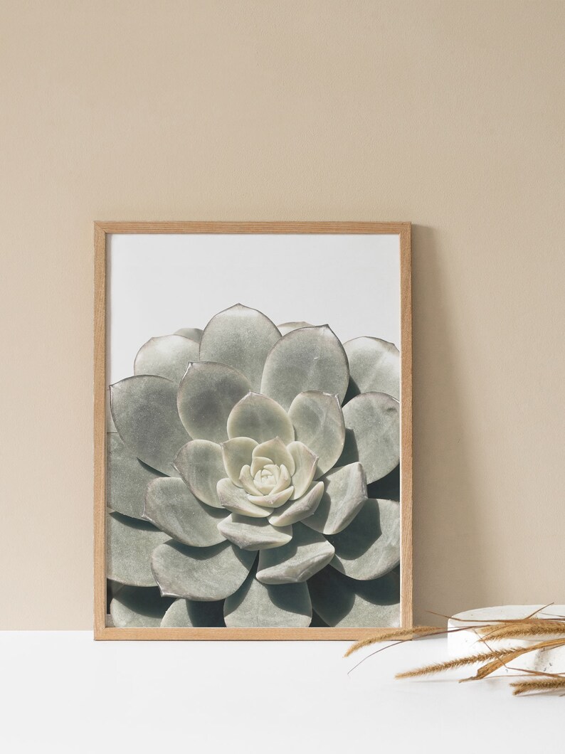 Succulent Printbotanical Printsucculentwall Artart - Etsy
