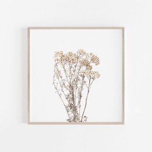Farmhouse, Set of 9 Prints, Digital Prints, Square Prints, Botanical ...