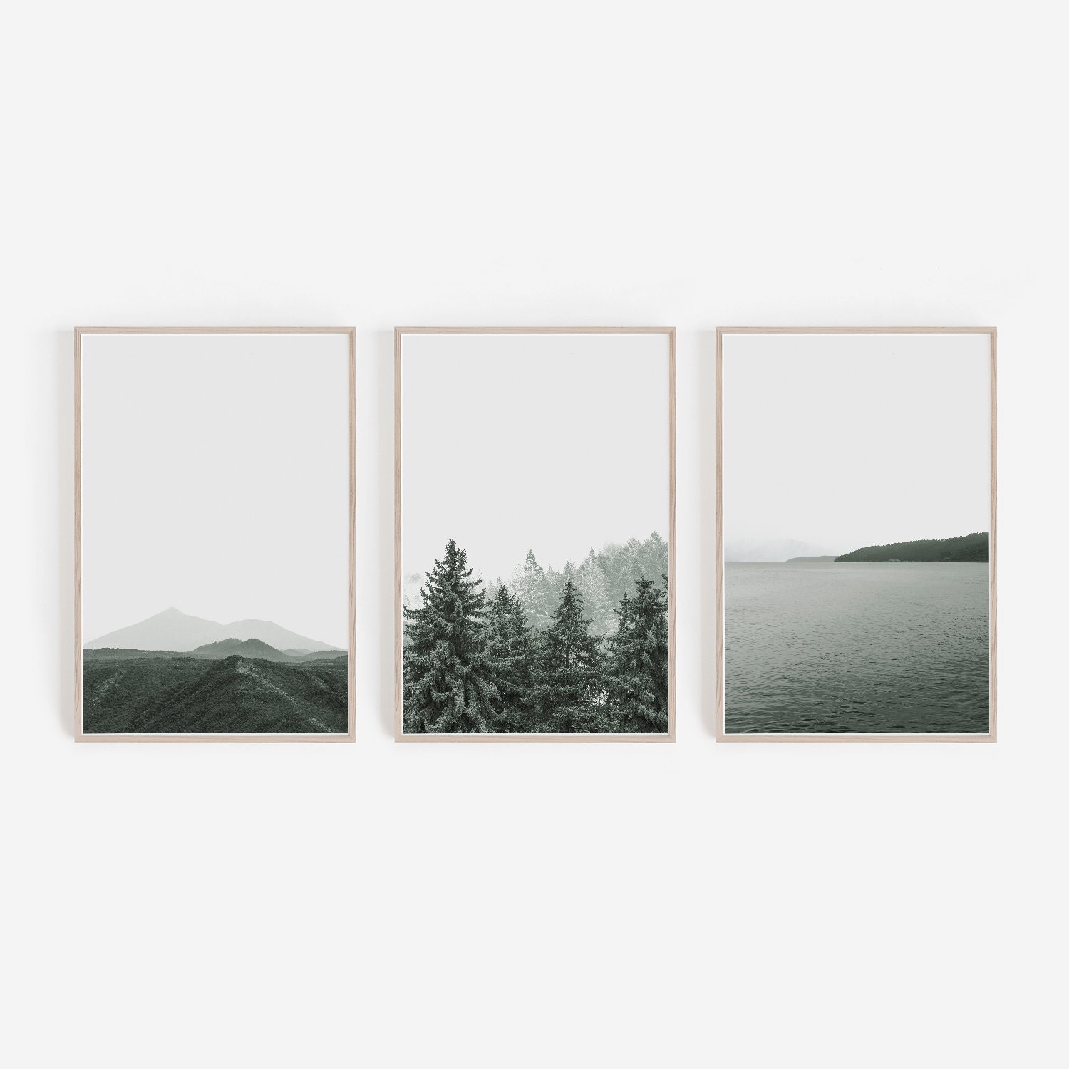 Set of 3 Prints Nature Prints Nature Wall Art Nature Decor - Etsy