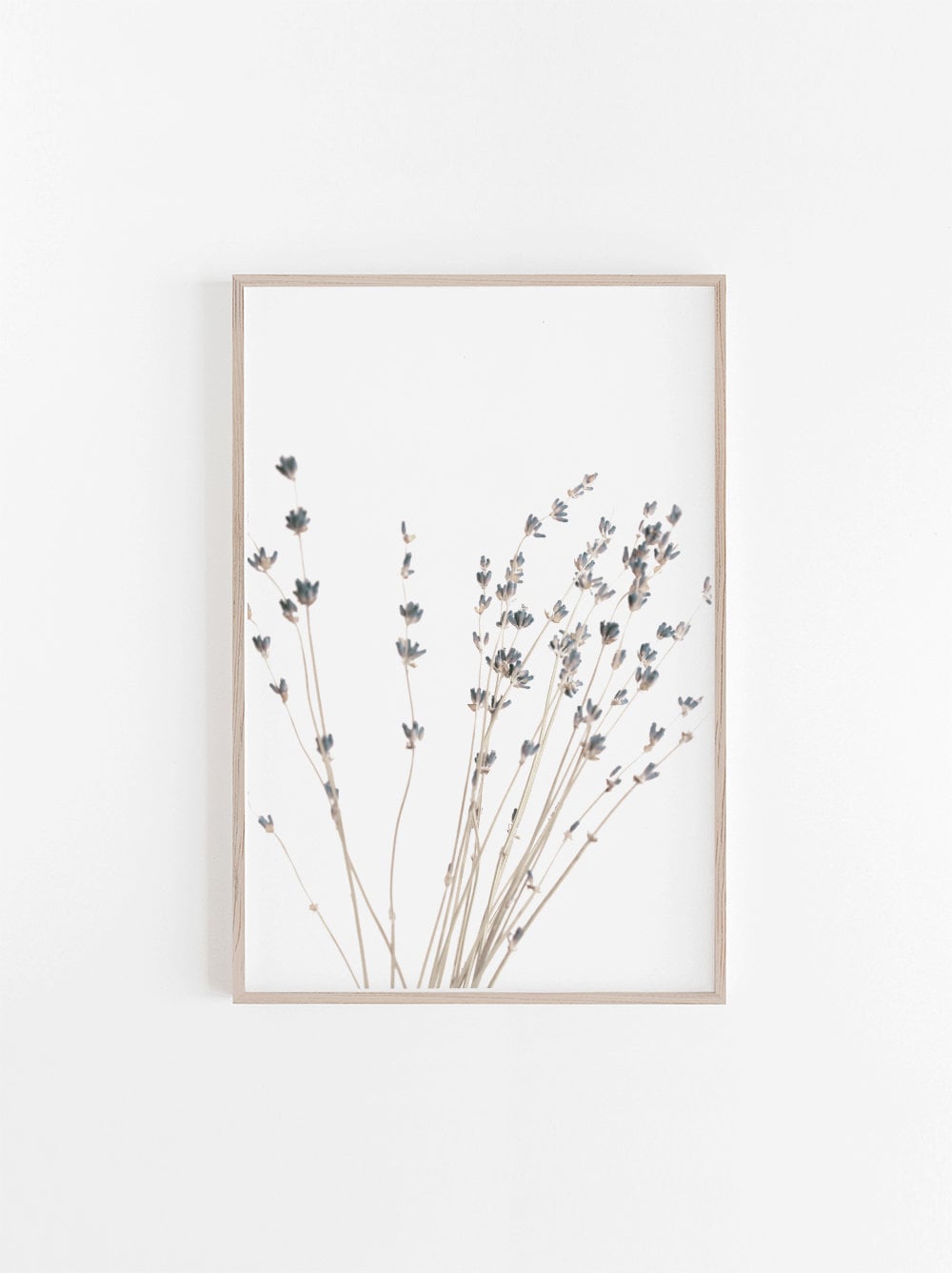 Lavender Print Lavender Farmhouse Decor Lavender Wall Art - Etsy