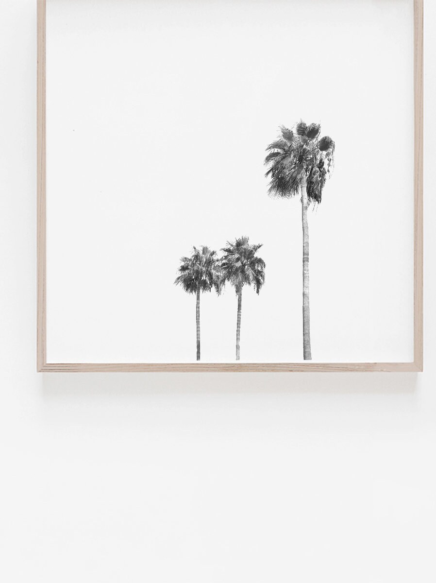 Black and White PrintsSquare PrintSquare Wall ArtPalm Trees | Etsy