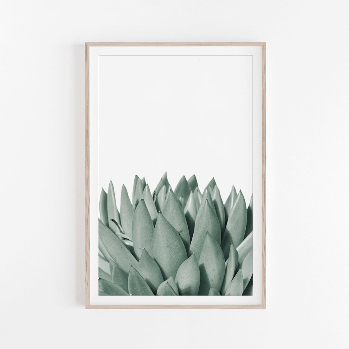 Succulent Prints Succulent Art Prints Succulent Wall Art | Etsy Australia