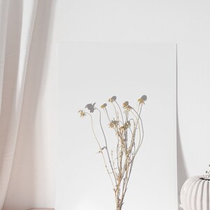 Botanical Poster, Digital Print, DIY WALL ART, Chamomile Prints ...