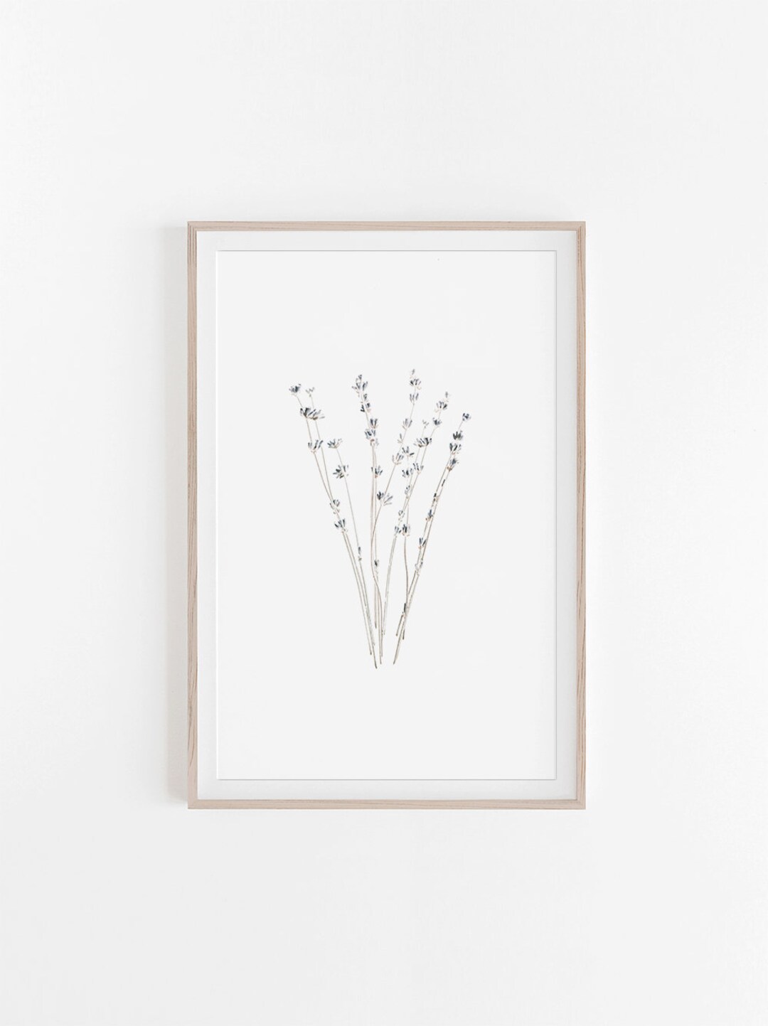 Lavender Print,watercolour Print,botanical Print,lavender Wall Art ...