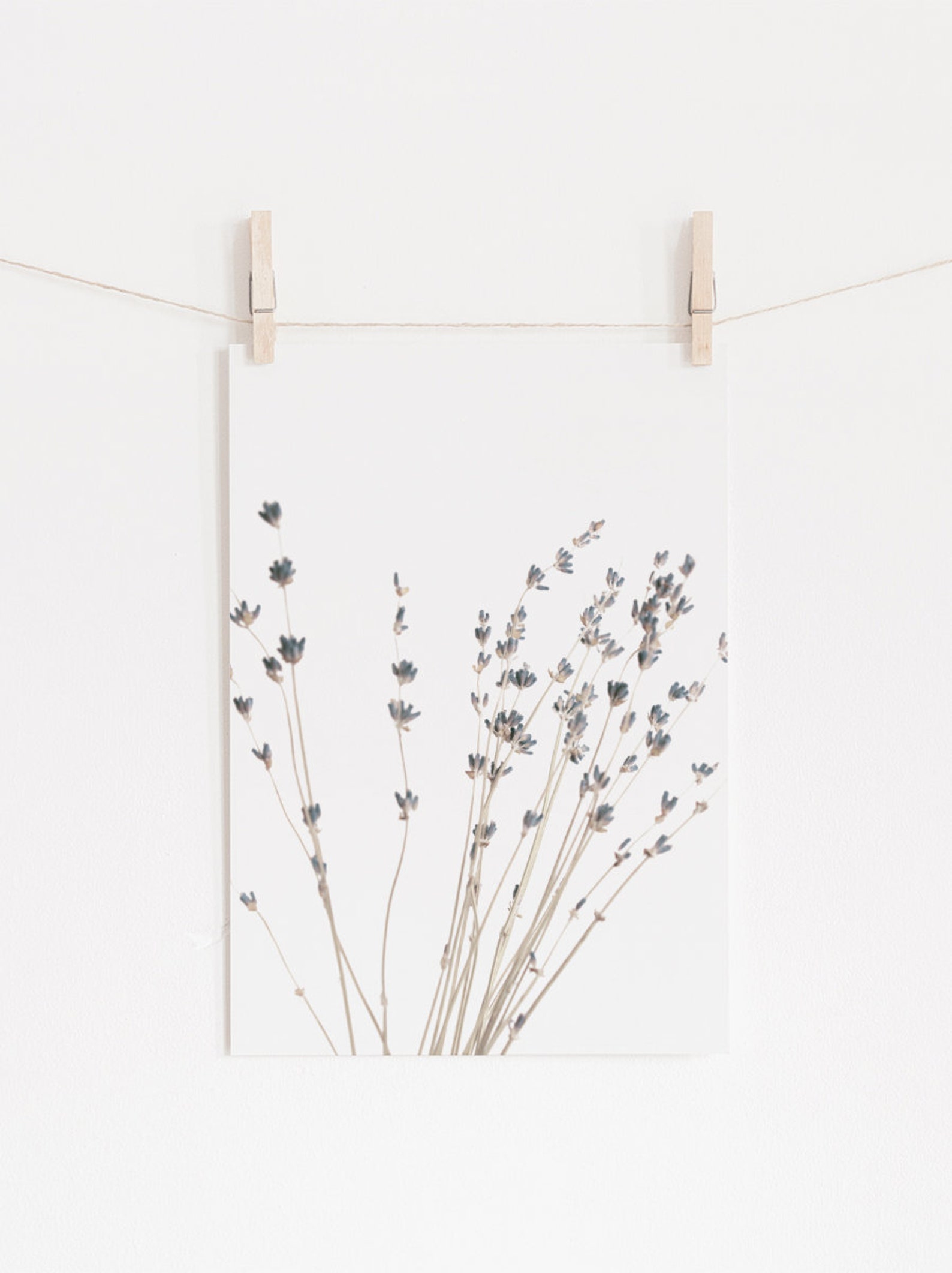 Lavender Print Lavender Farmhouse Decor Lavender Wall Art - Etsy