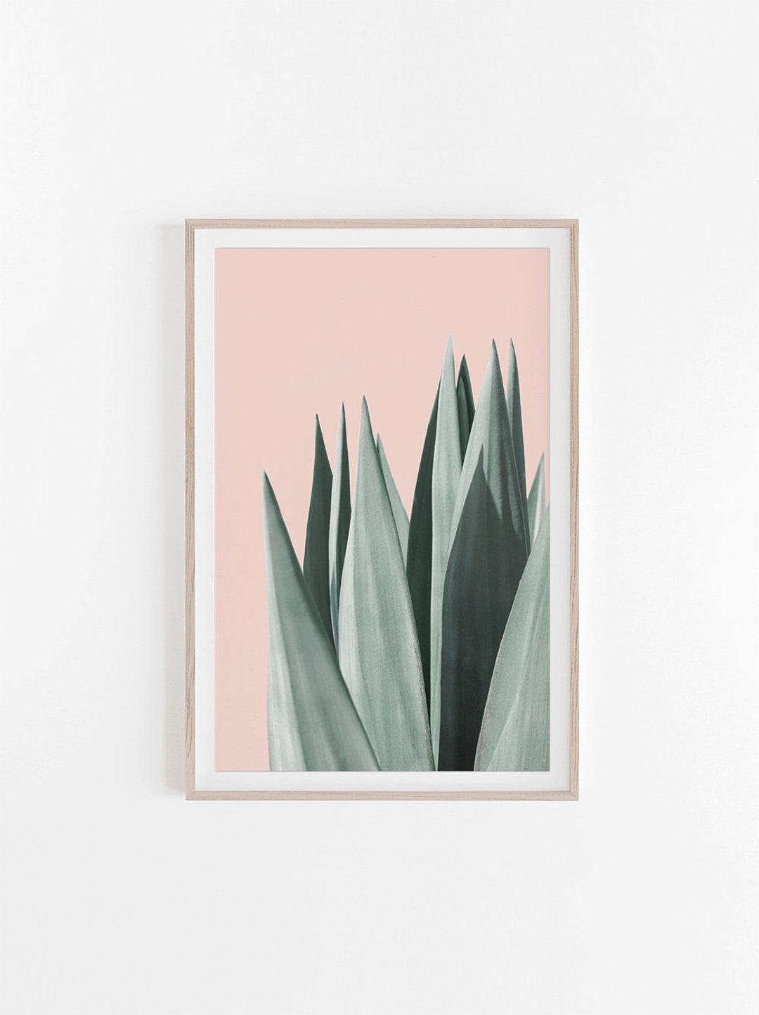 Succulent Print,prints,diy,succulent Art Print,succulent Art,succulent ...