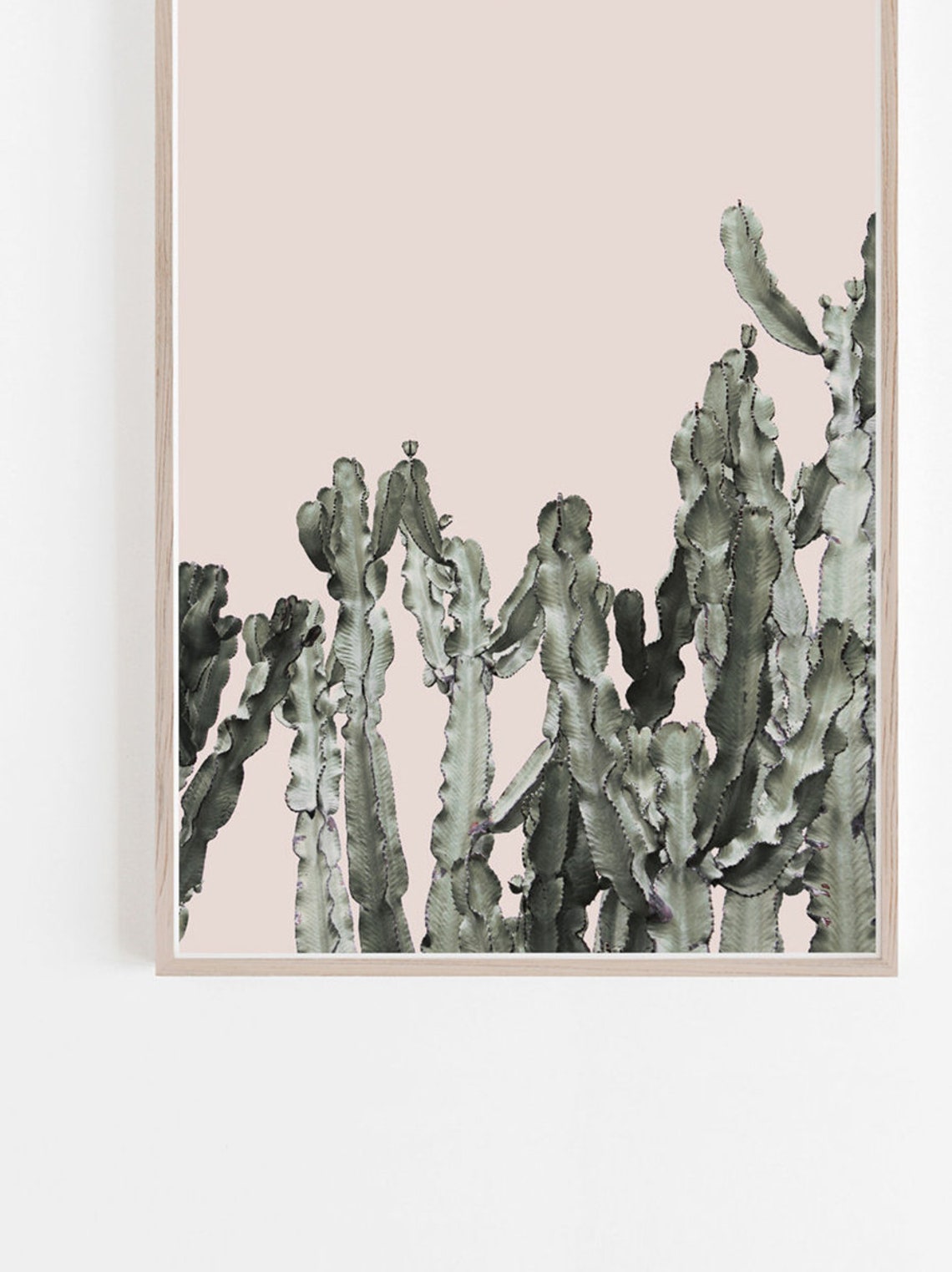 Cactus Wall Art Cactus Print Cactus Art Print Desert Print | Etsy