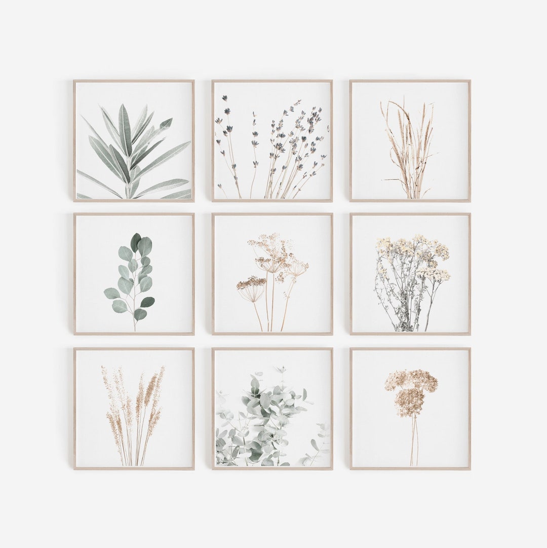 Digital Prints, Set of 9 Prints, Square Prints, Botanical Prints ...