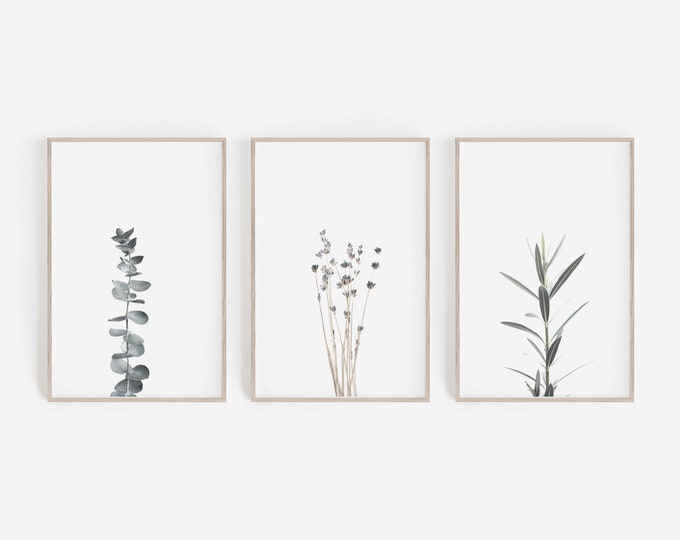 Set of 3 Prints, Farmhouse Decor, Botanical Print, Wall Decor ...