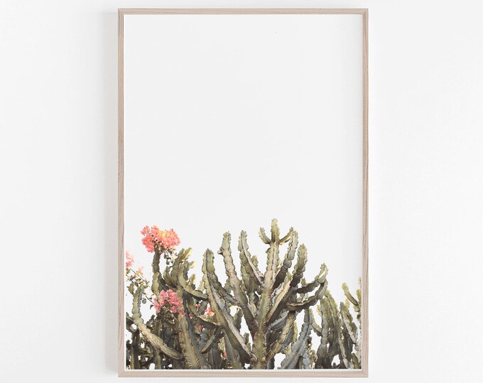 Cactus Print, Art Print, Print, Cactus Wall Art, Wall Print, Succulent ...