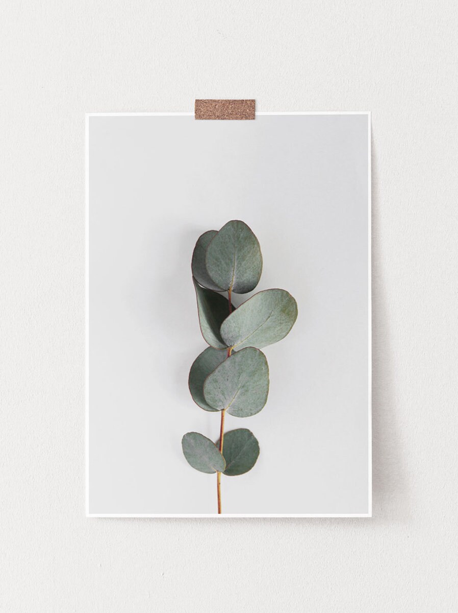 Eucalyptus PrintEucalyptus LeavesEucalyptusBotanical | Etsy