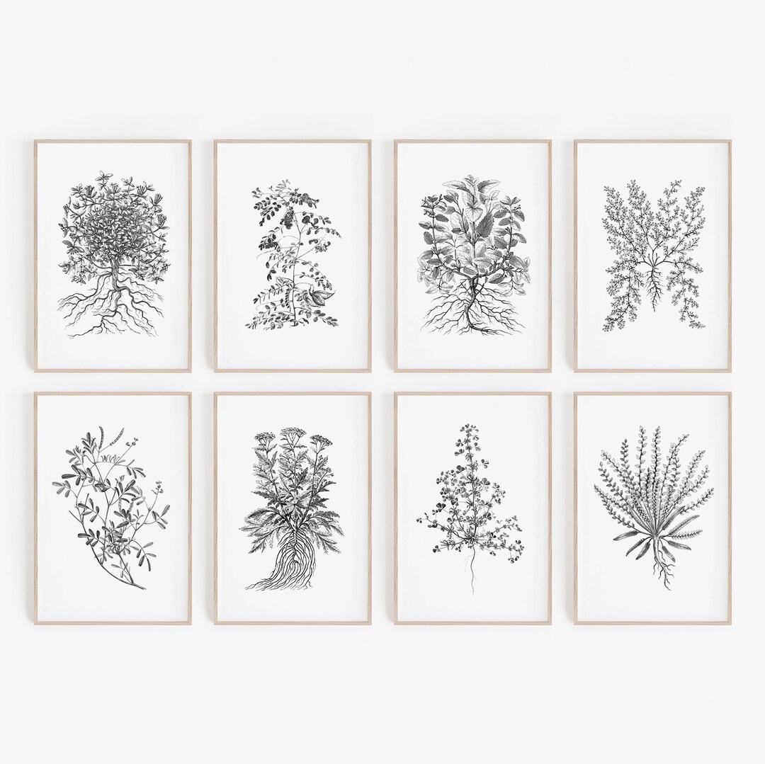 Set of 8 Prints, DIGITAL Prints, Farmhouse Prints, Farmhouse Wall Art ...