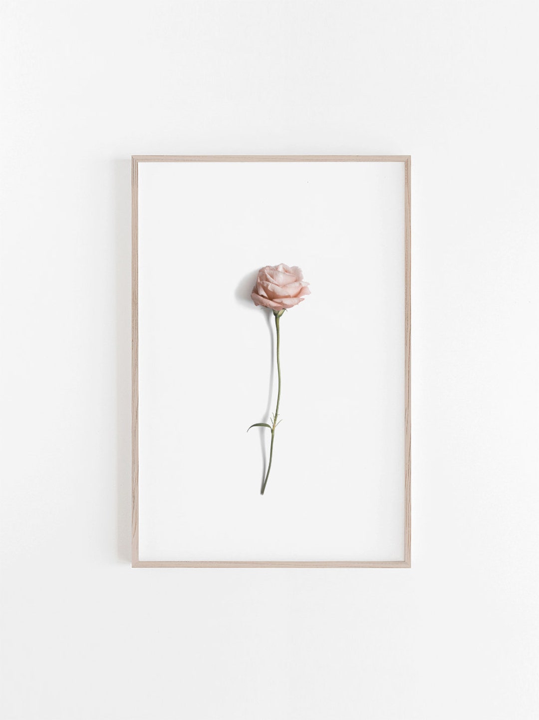 Floral Print, Flower Print, Flower Photography, Flower Wall Art, Floral ...