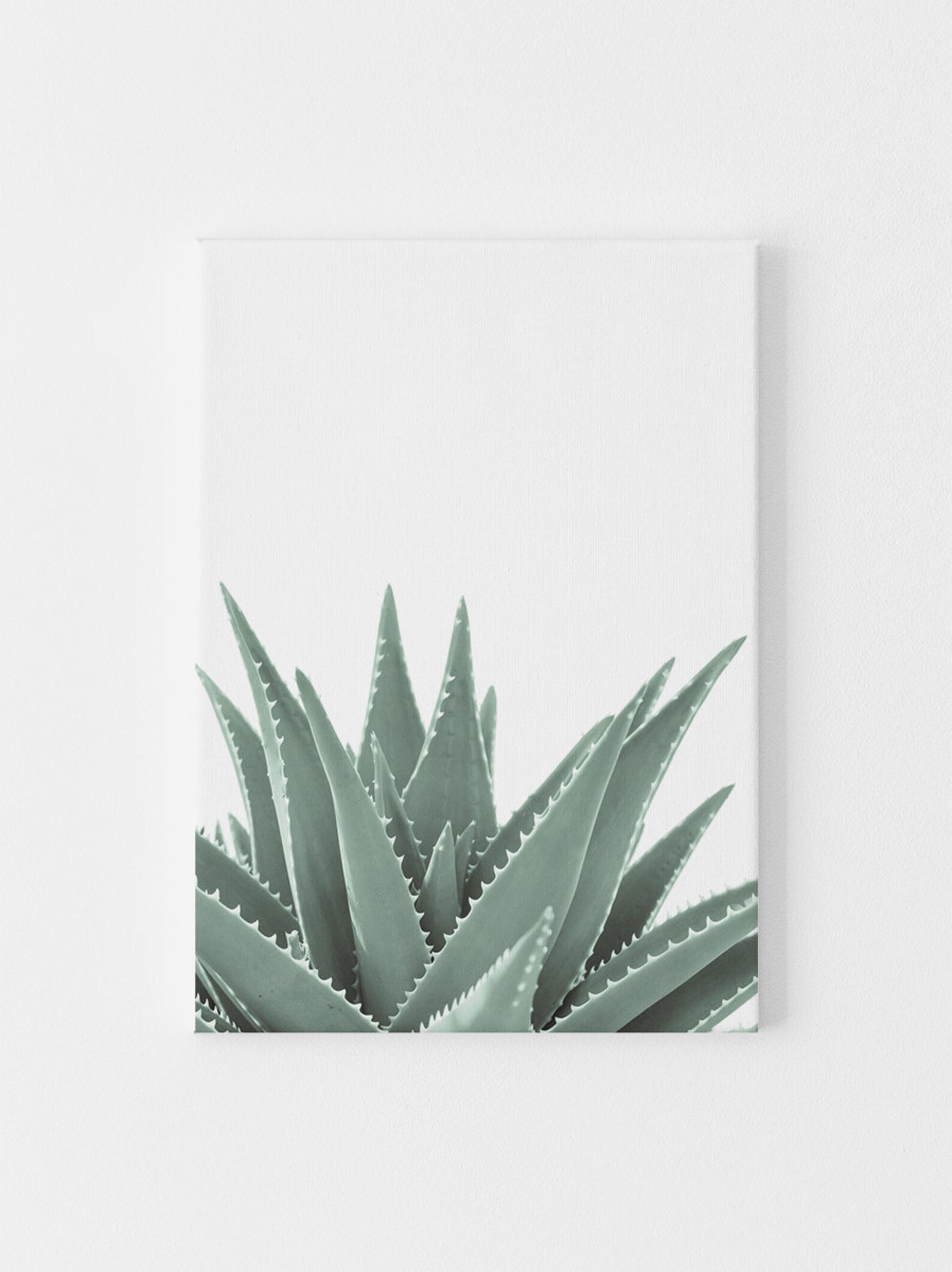 Succulent Print Botanical Print SucculentWall Art Art | Etsy