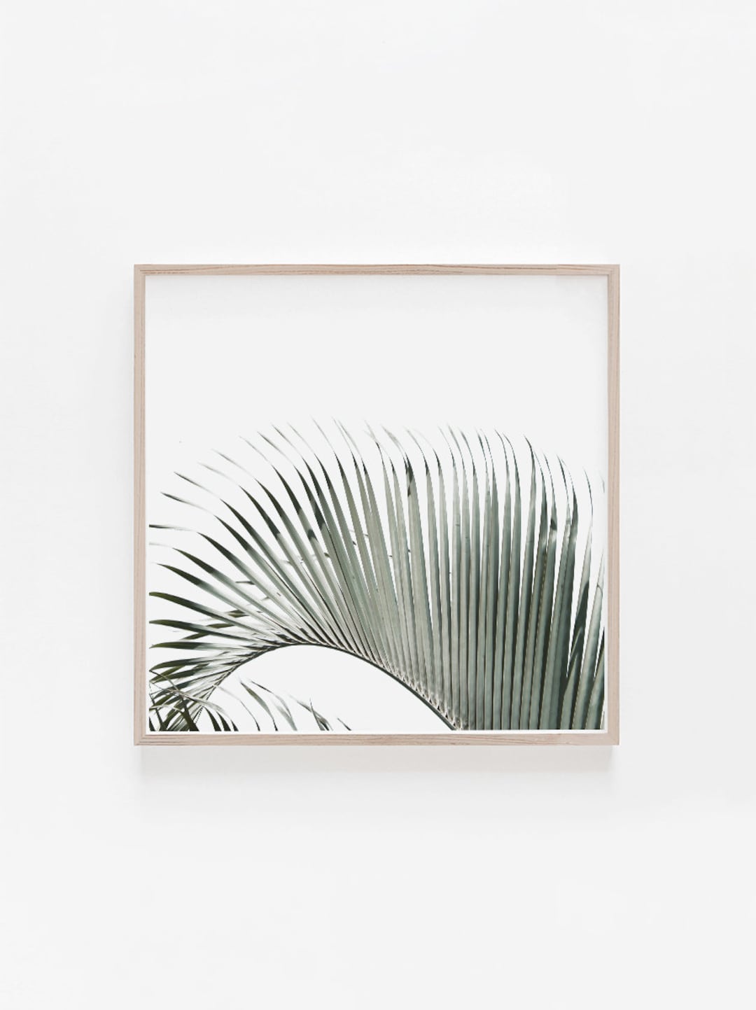 Square Print,botanical Print,palm Leaf Print,green Leaf Print,square ...