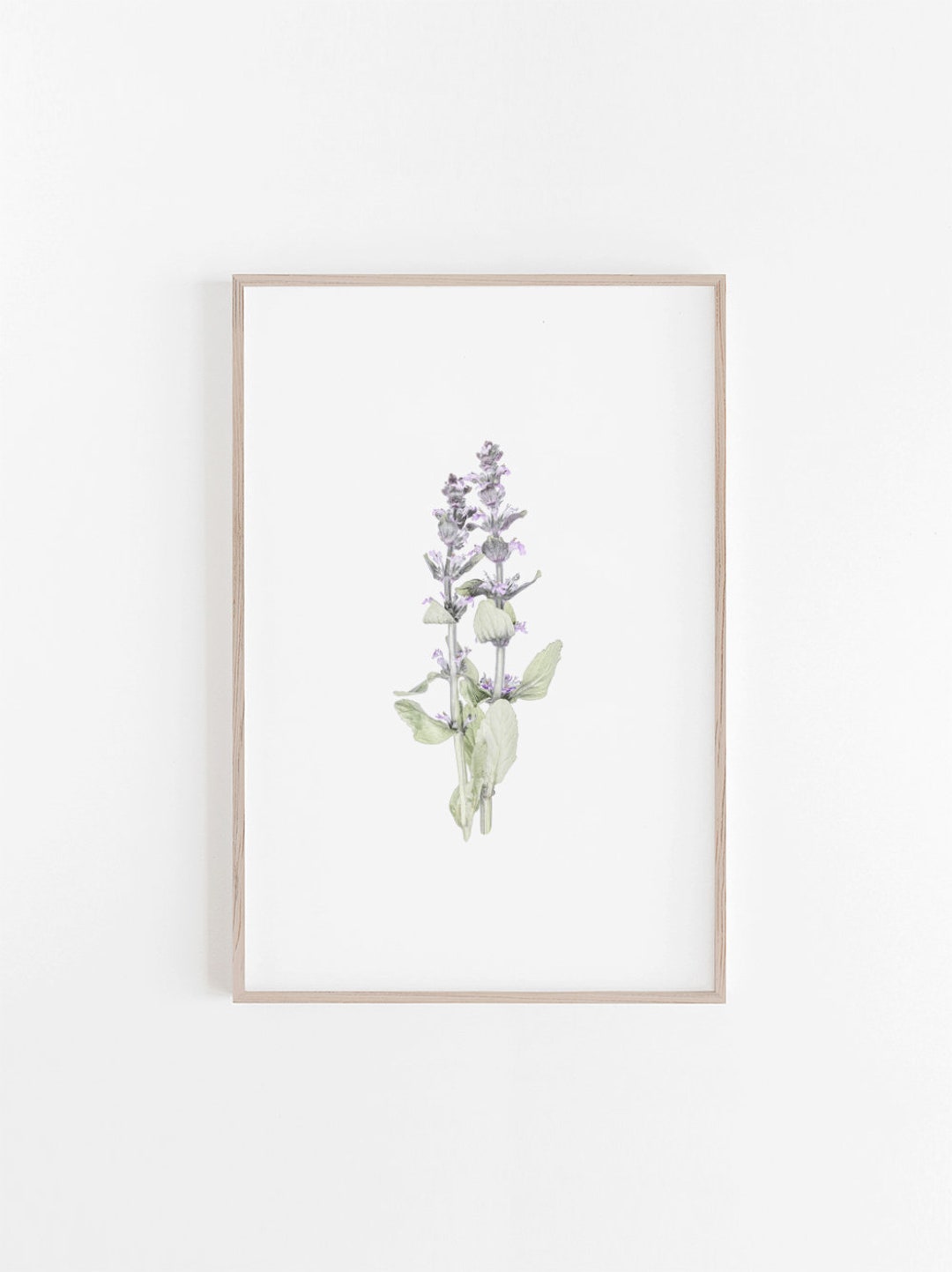Digital Prints, Botanical Prints, Wild Plant, Wildflower Print ...