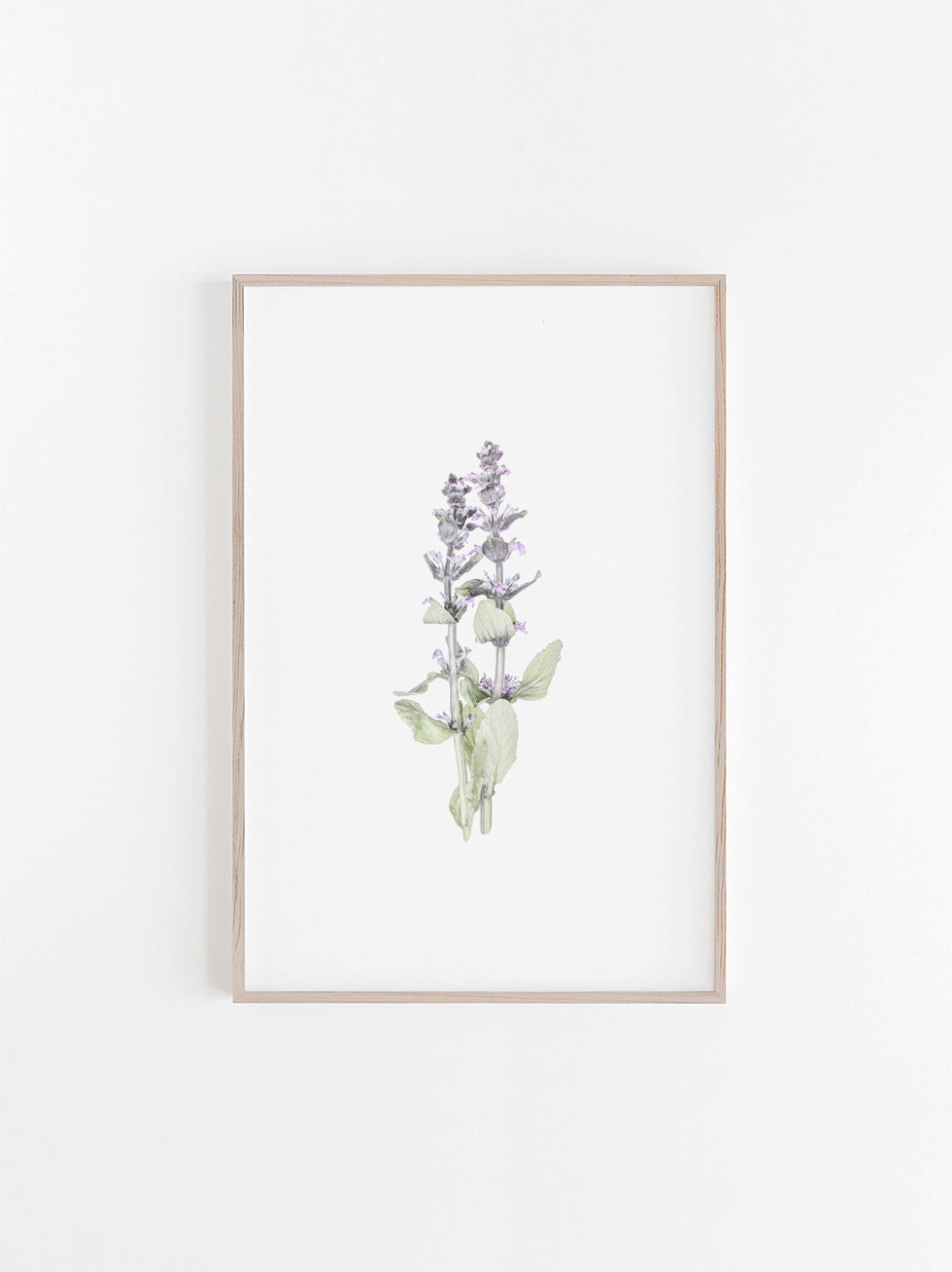 Digital Prints Botanical Prints Wild Plant Wildflower | Etsy