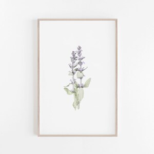 Digital Prints, Botanical Prints, Wild Plant, Wildflower Print ...