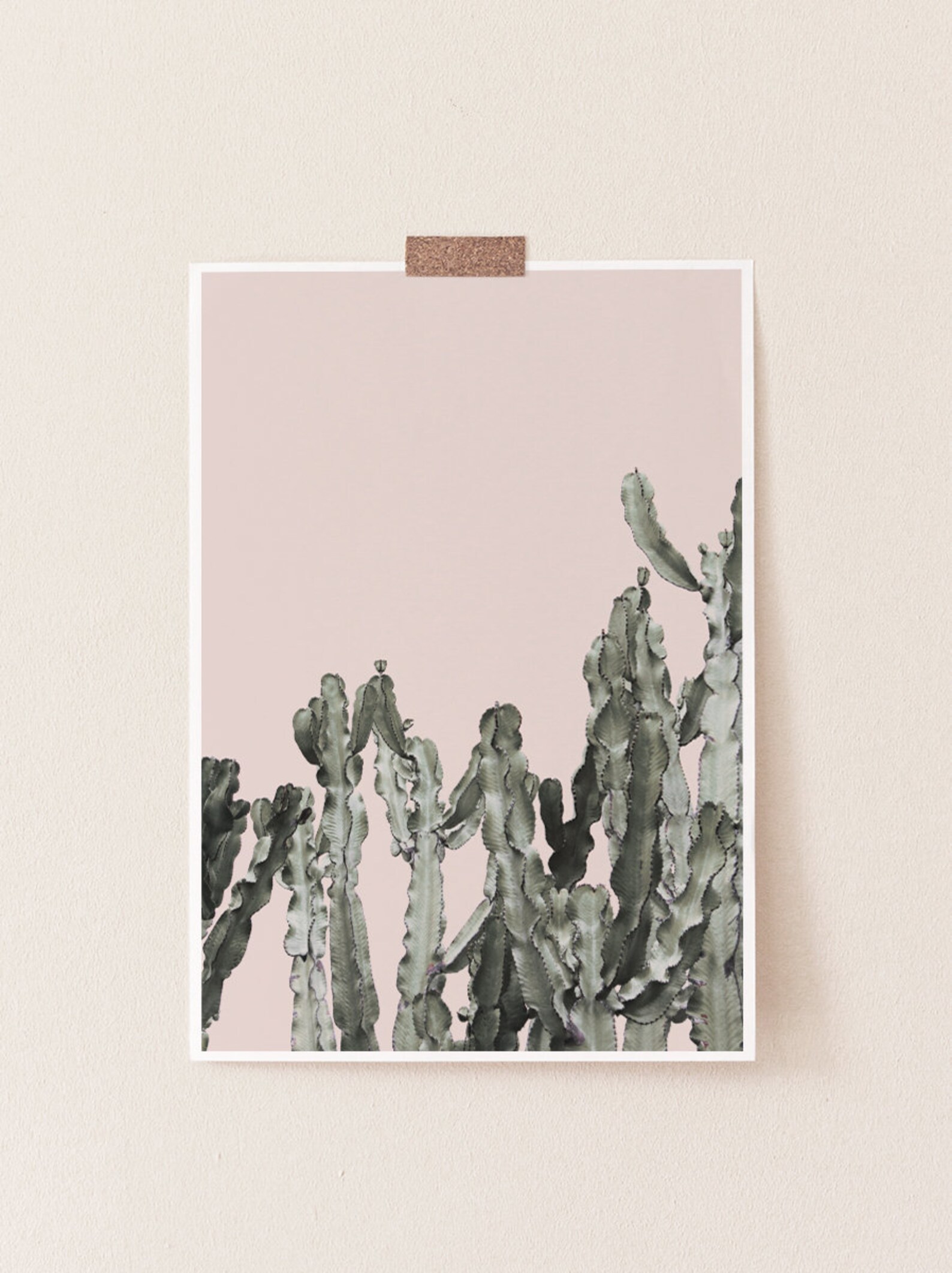 Cactus Wall Art Cactus Print Cactus Art Print Desert Print | Etsy