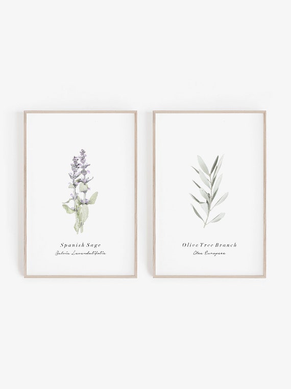 Set of 2 Prints DIGITAL Prints Olive Print Olive Wall Art | Etsy