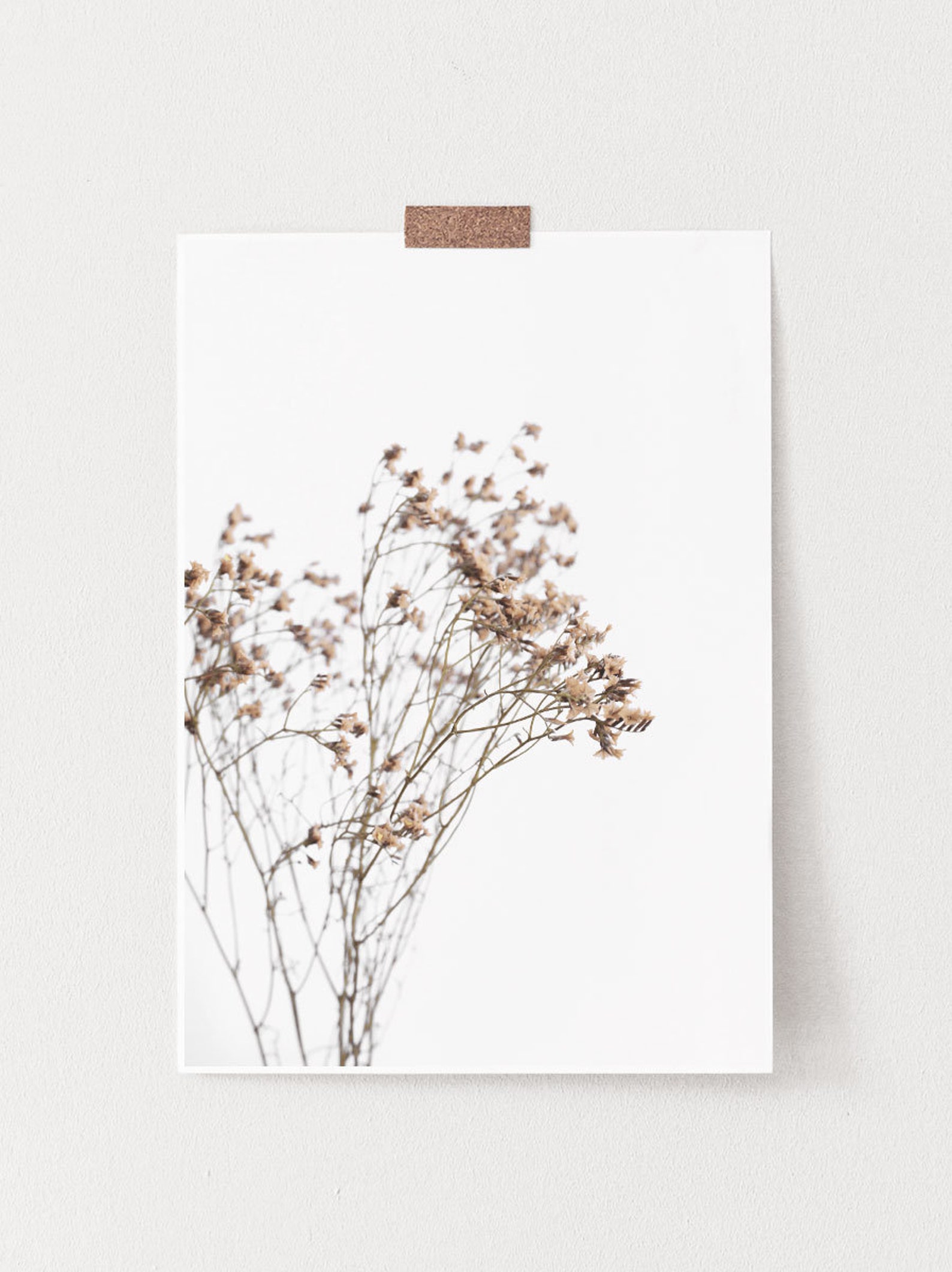 Dried Flowers Art Wild Flower Print Minimalist Print - Etsy Canada