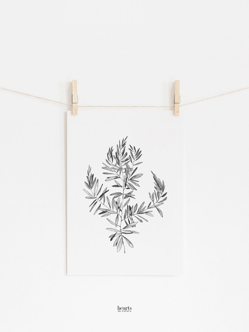 Olive Print Digital Prints Botanical Print Botanical Wall - Etsy