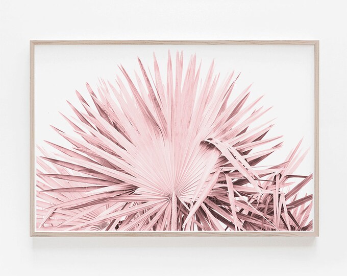 Pink Palm,pink Palm Leaf,pink Palm Frond,digital Print,printable Art ...