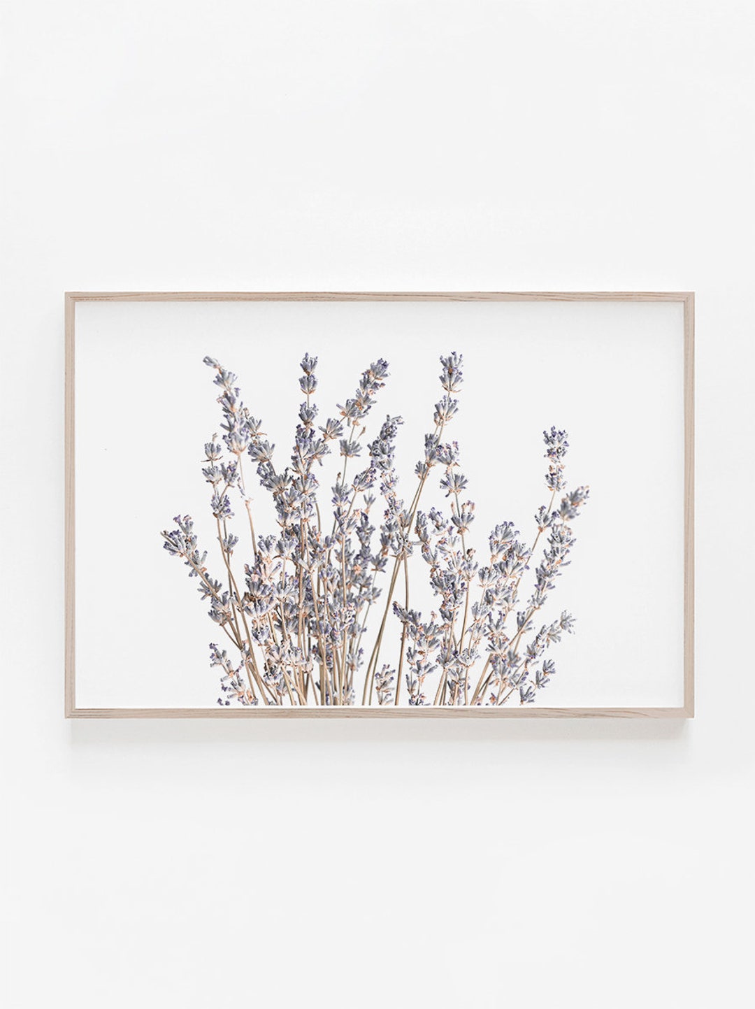 Digital Print, Botanical Print, Lavender Print, Horizontal Wall Art ...
