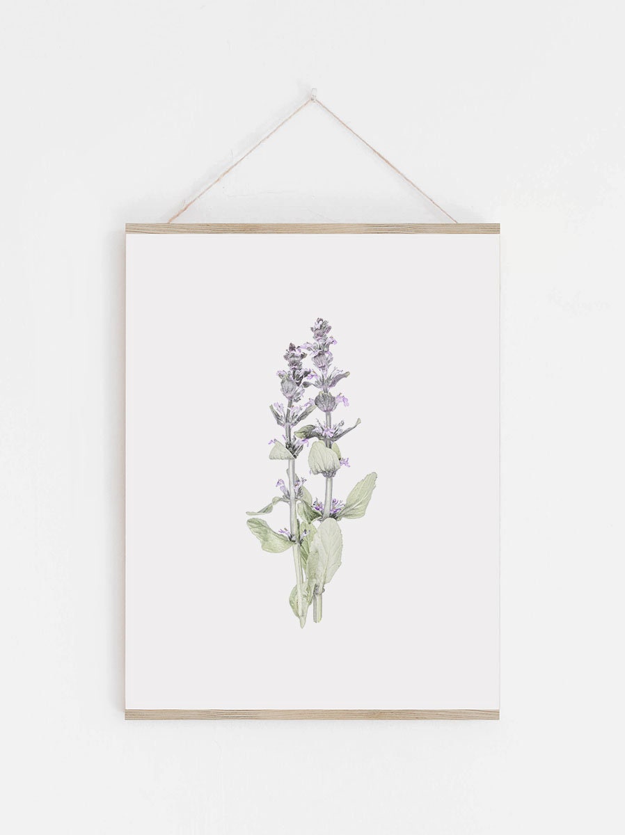 Digital Prints Botanical Prints Wild Plant Wildflower | Etsy