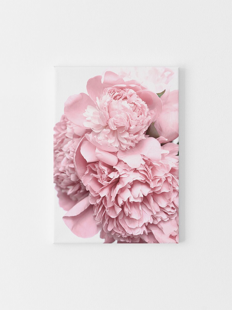 Peony PrintPrintable Wall ArtPinkWall ArtFlower PrintRoom | Etsy