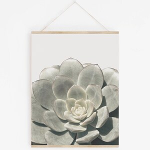 Succulent Print,botanical Print,succulent,wall Art,art Print,wall Print ...