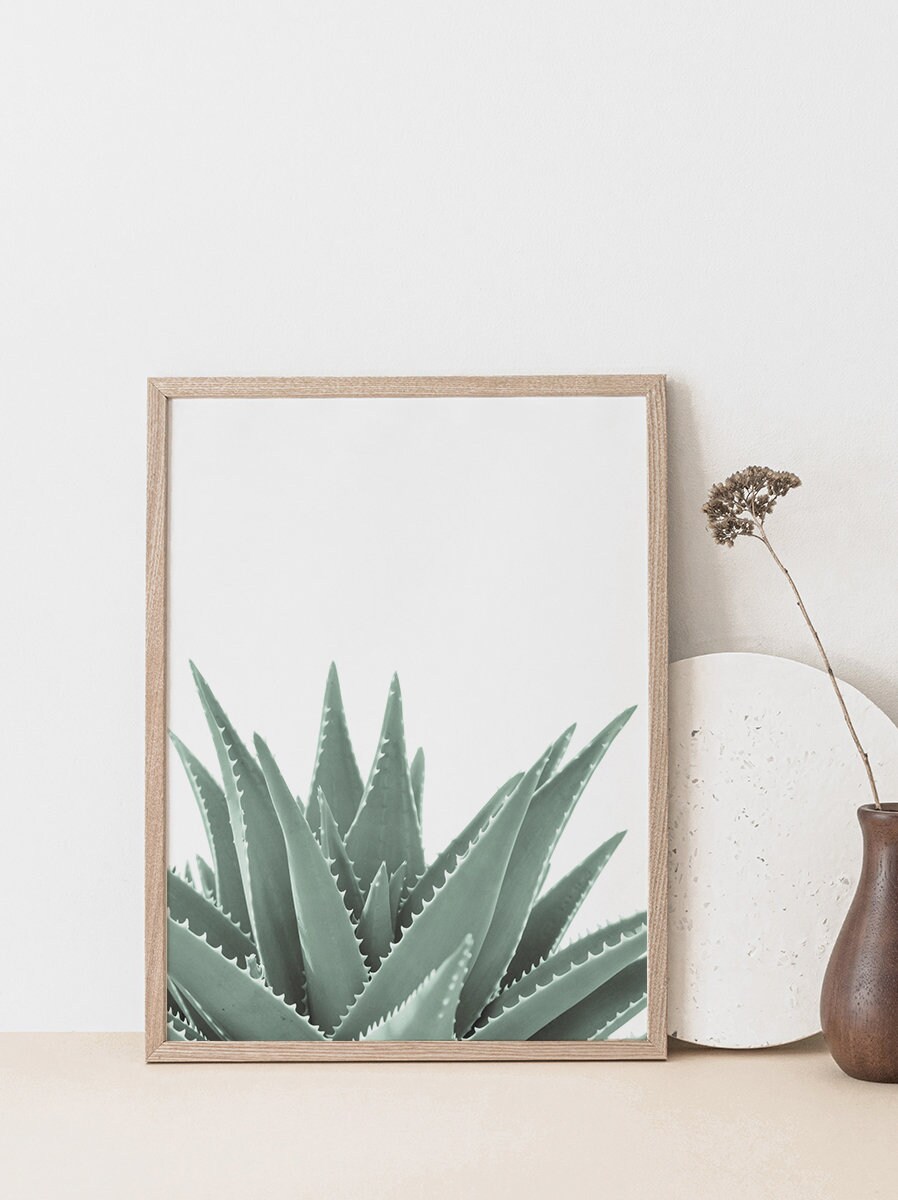 Succulent Print Botanical Print Succulentwall Art Art - Etsy