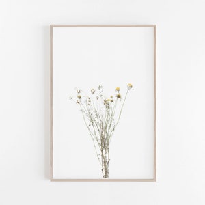 Botanical Print,camomile Print,farmhouse Decor,farmhouse Wall Decor ...