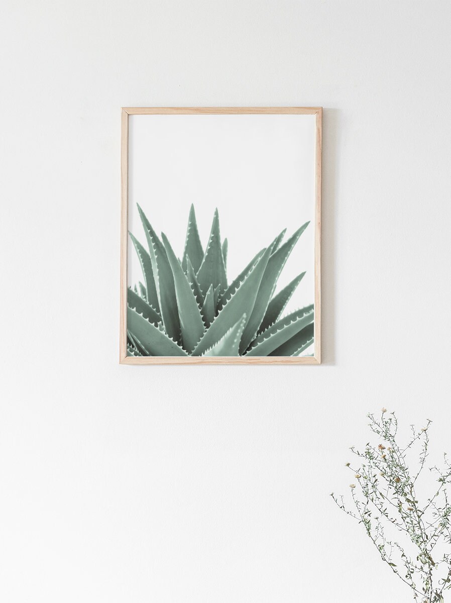 Succulent Print Botanical Print Succulentwall Art Art - Etsy
