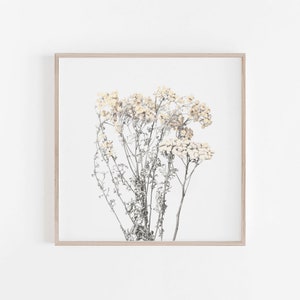 Digital Prints, Set of 9 Prints, Square Prints, Botanical Prints ...