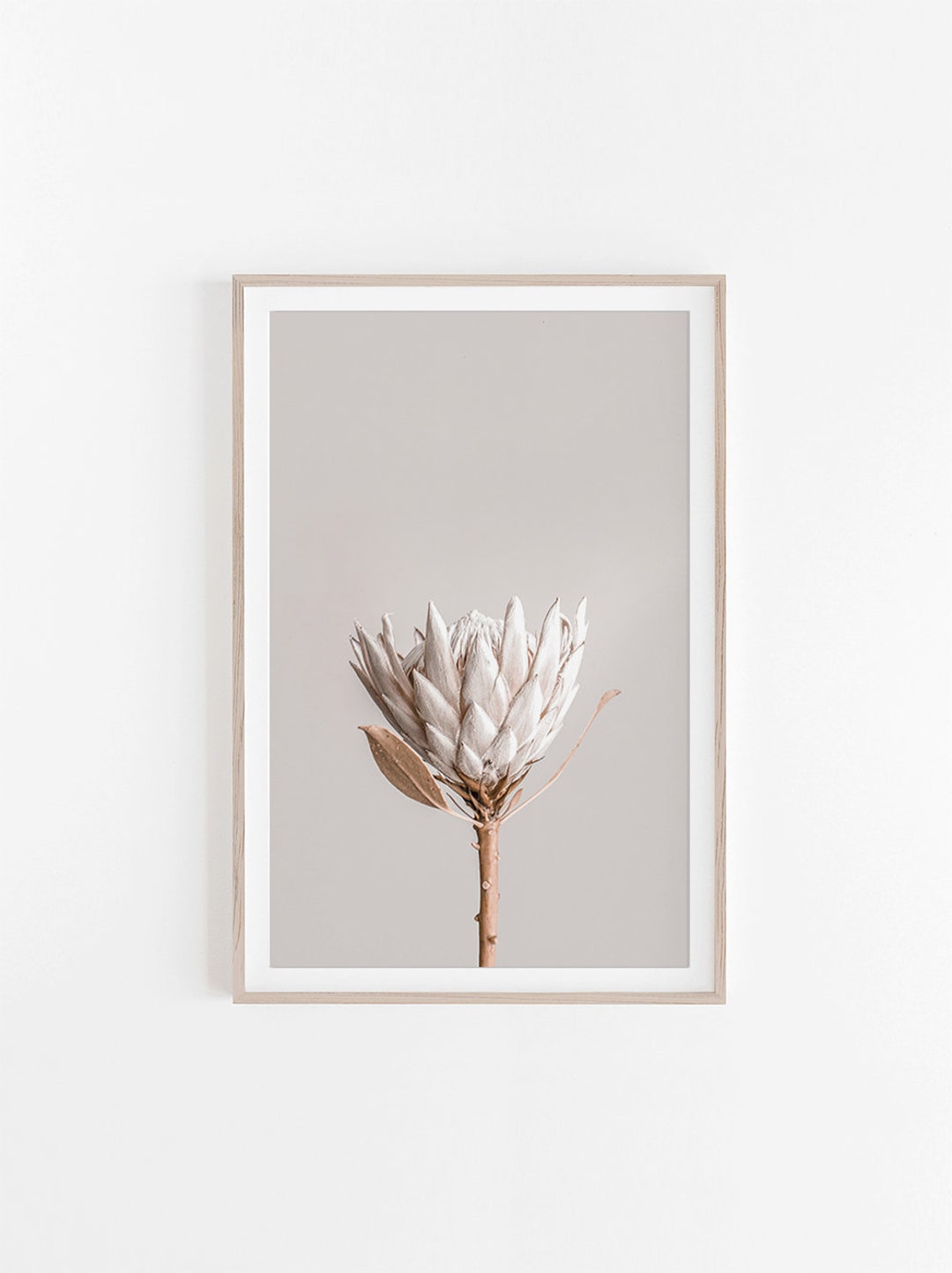 Protea Print, Wall Art, Protea Wall Art, Flower Print, Flower Wall Art ...
