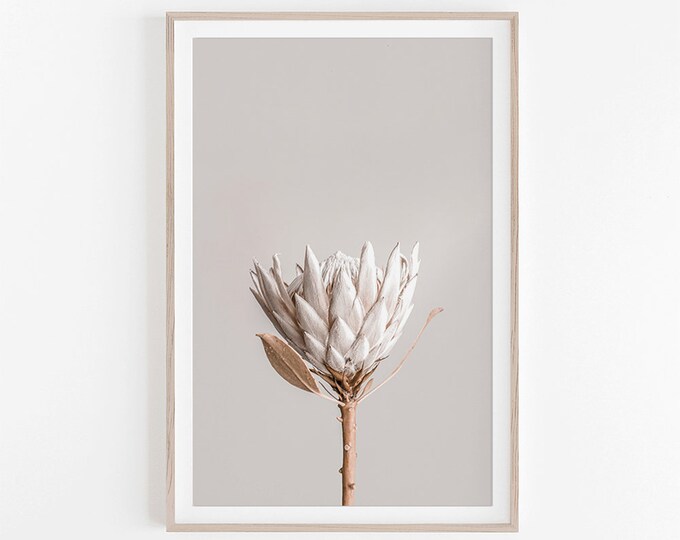 Protea Print, Wall Art, Protea Wall Art, Flower Print, Flower Wall Art ...