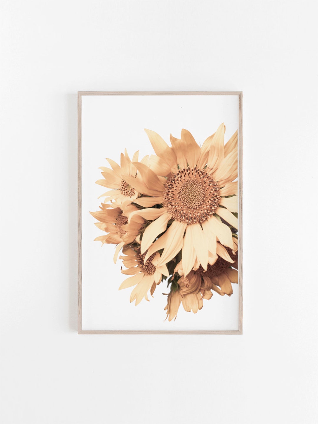 Sunflower,sunflower Print,flower Poster,sunflower Poster,sunflower ...