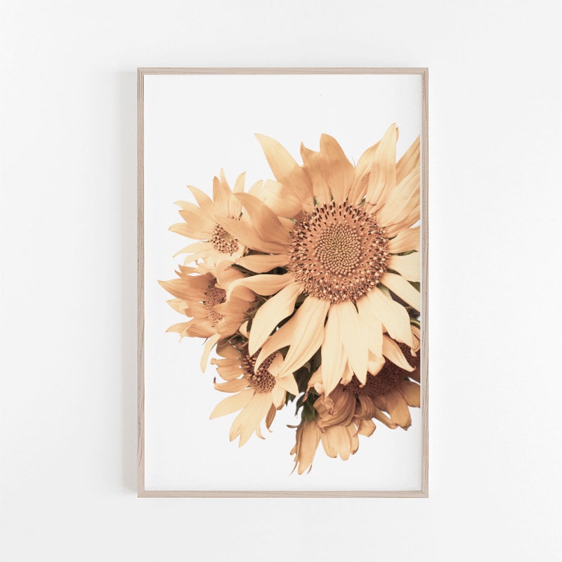 Sunflower Poster - Etsy