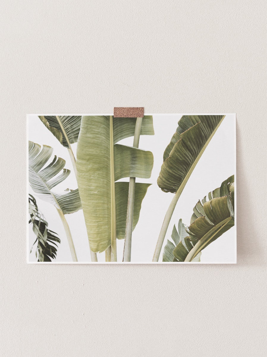 Tropical Print Palm Leaf Print Palm Print Horizontal Print - Etsy