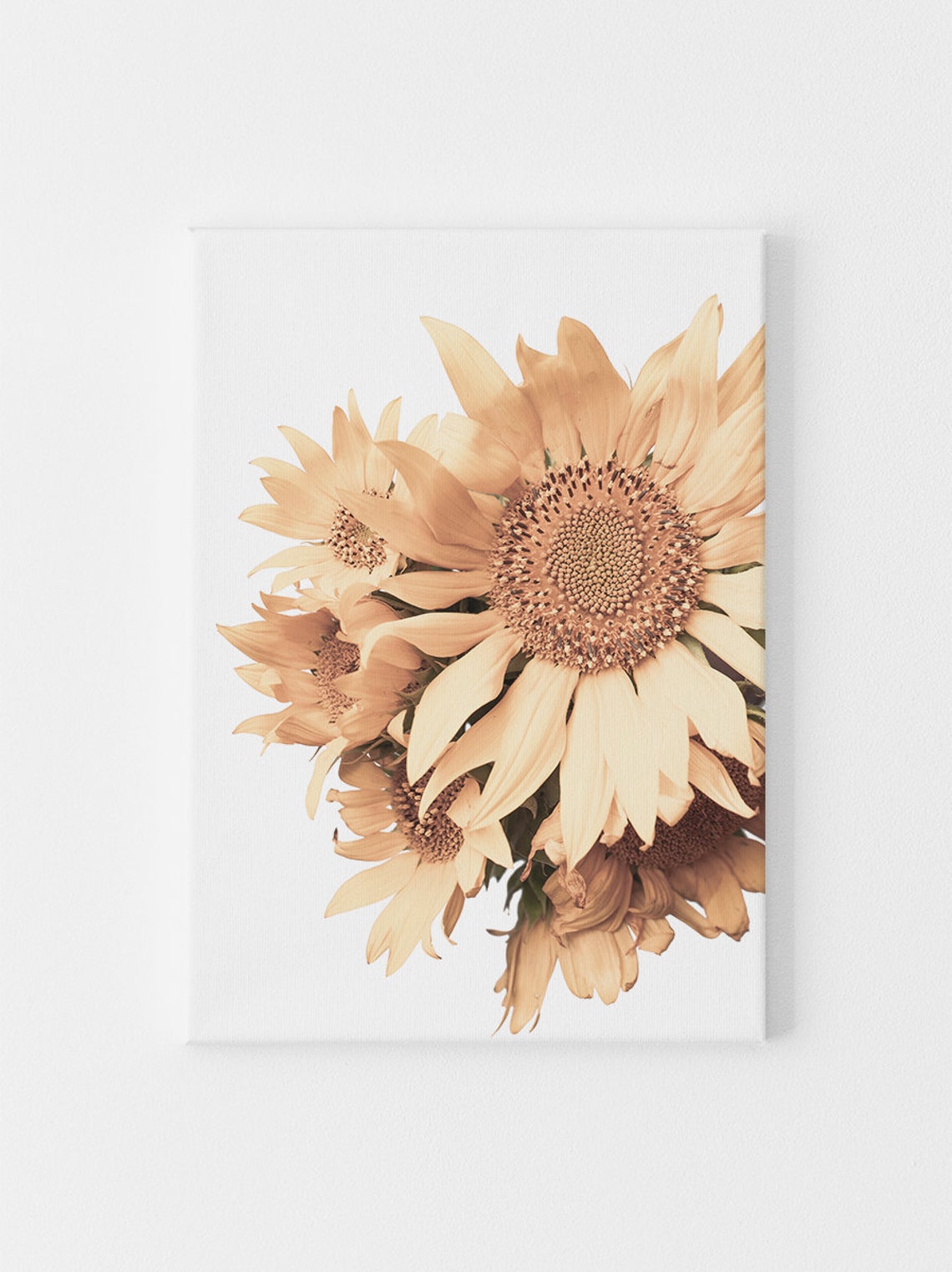 SunflowerSunflower PrintFlower PosterSunflower | Etsy